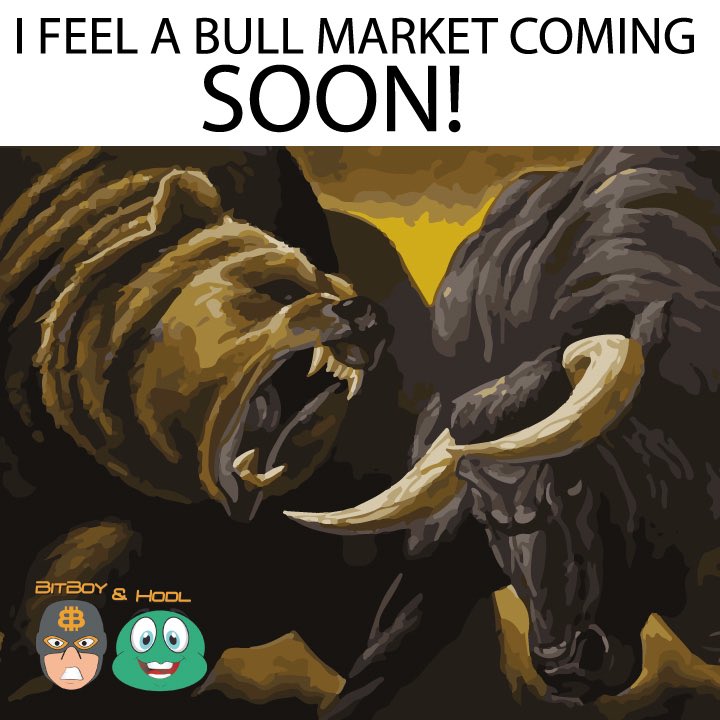 Bear Market Memes
