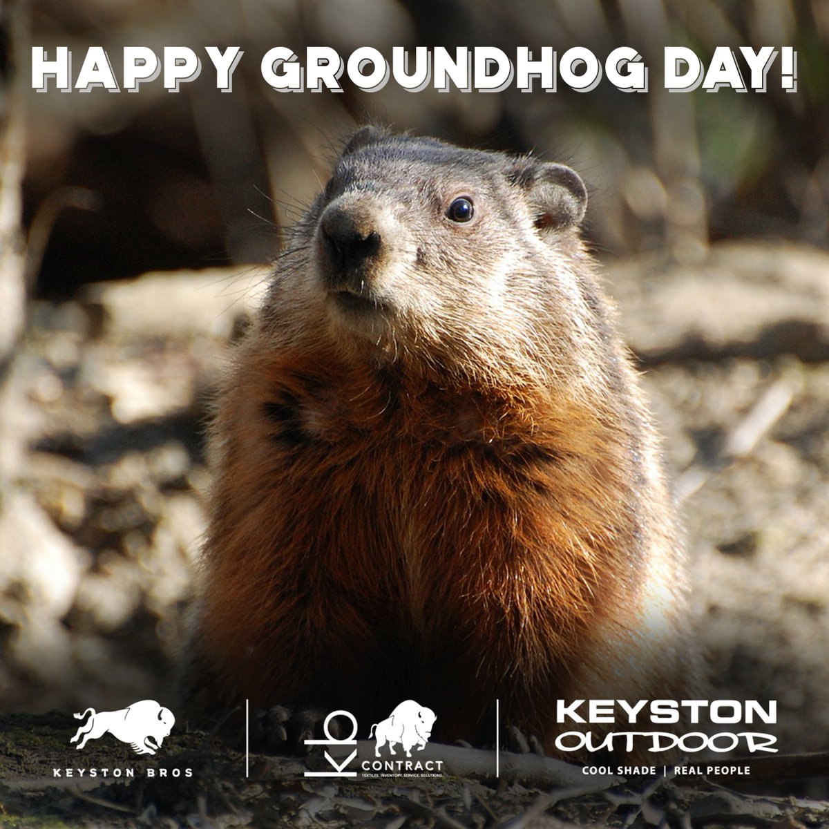 KB Contract (@kbcontract) | Twitter