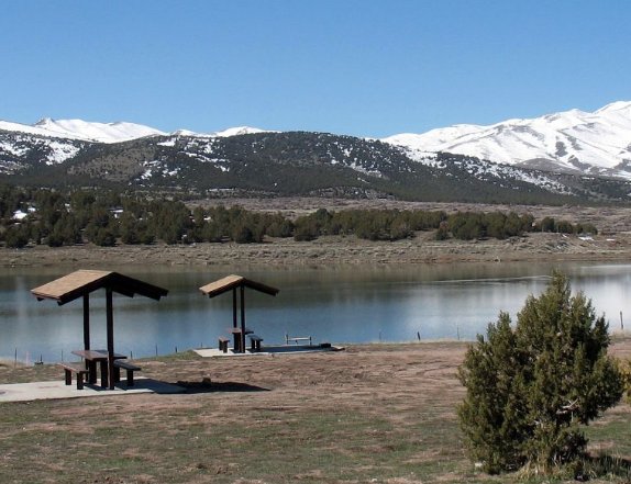 Anglers have been catching rainbows and tigers in about 15 to 18 feet ...