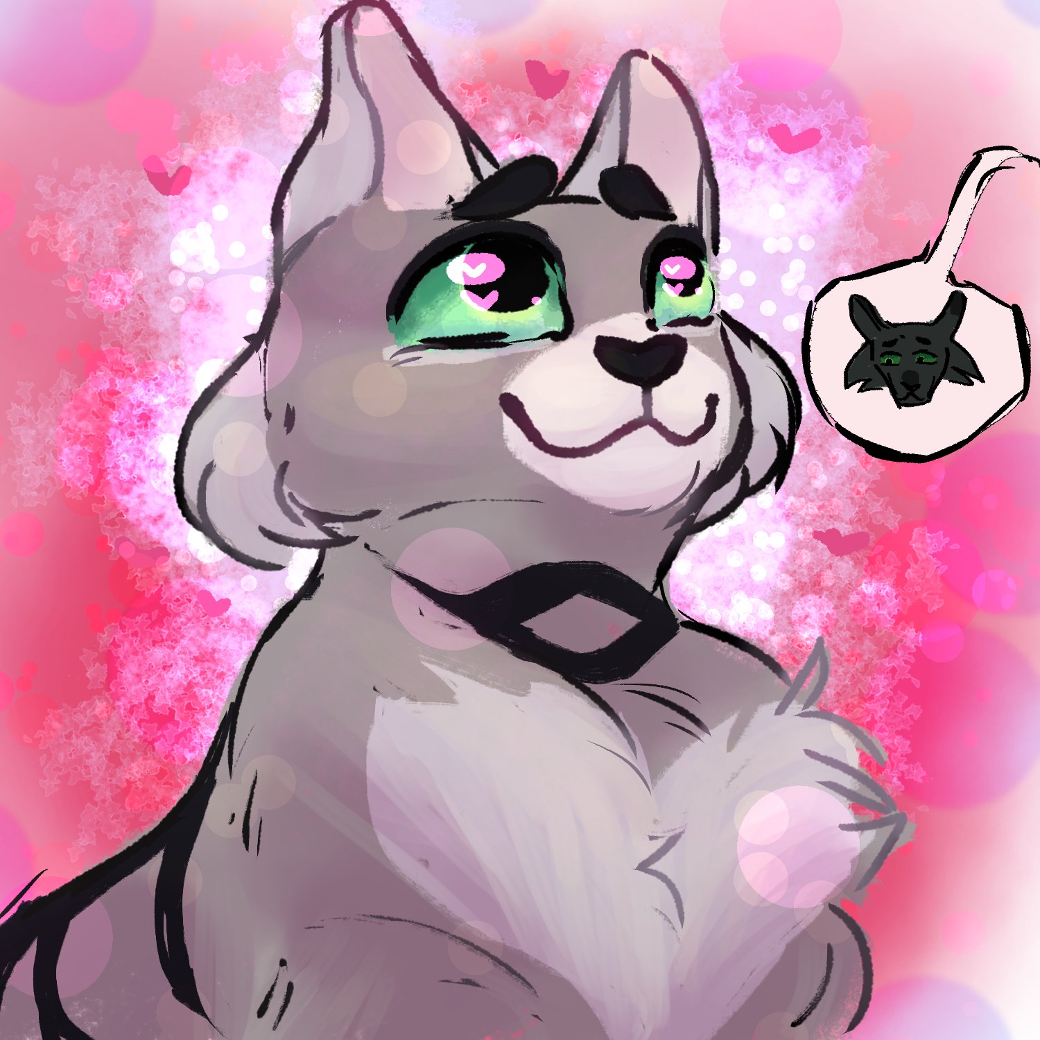 Warrior Cats Jayfeather And Willowshine