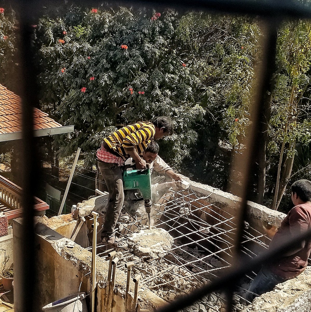 Kritarth Srinivasan (@ComicCurry) | Twitter