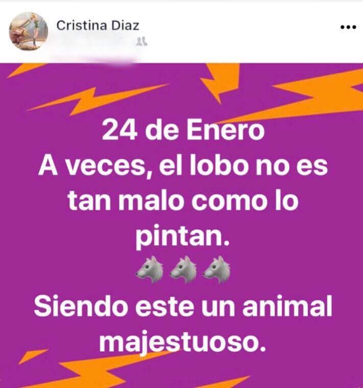 Arriba 46 Images El Lobo No Es Tan Malo Como Lo Pintan Viaterra Mx