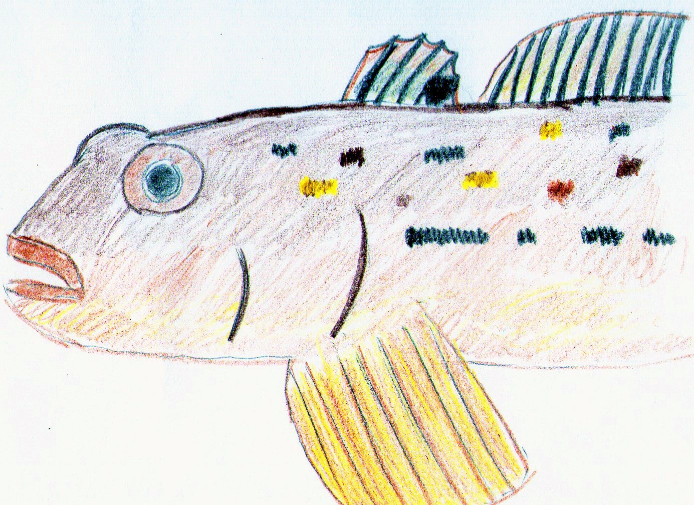 Draw Round Goby