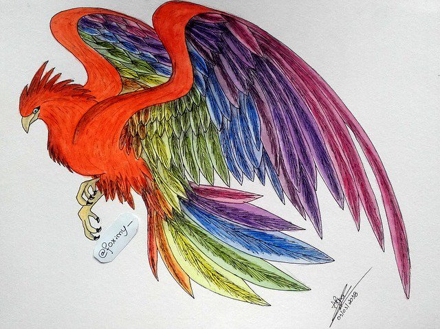 Rainbow Phoenix Bird