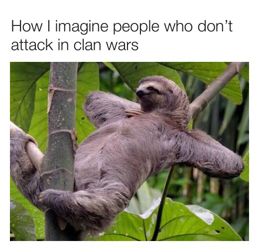 Clan Wars Memes