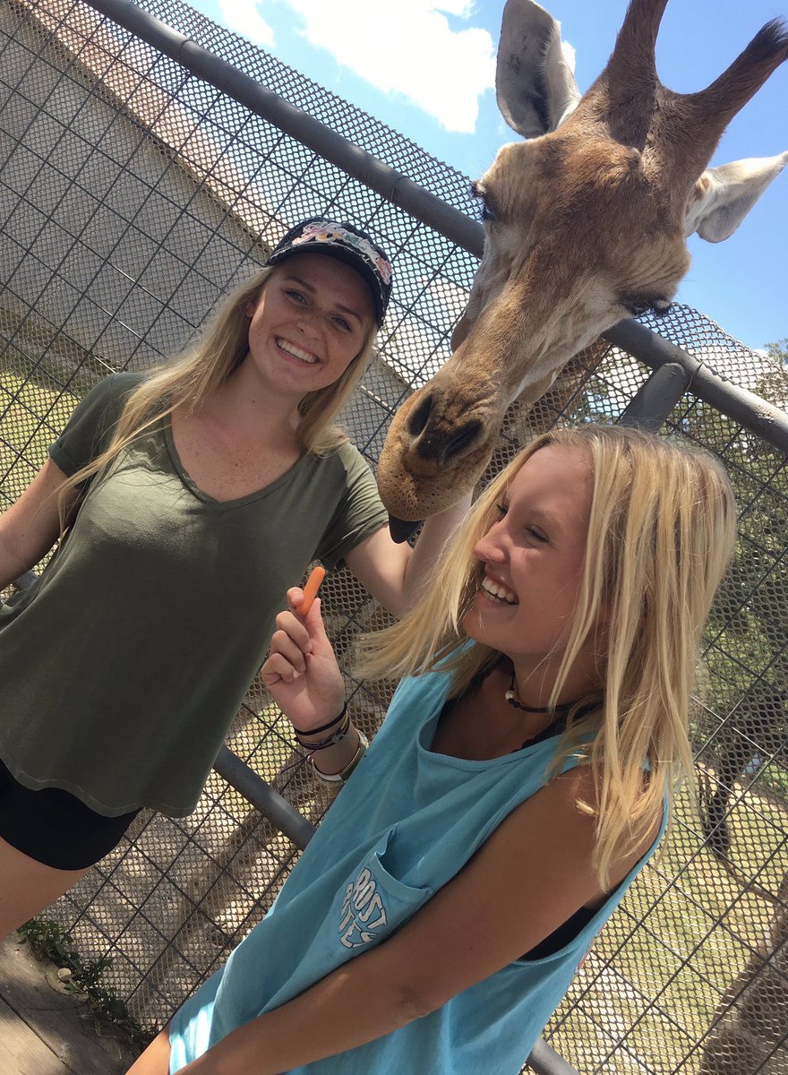 rylee evans (@RyleeRyry) | Twitter