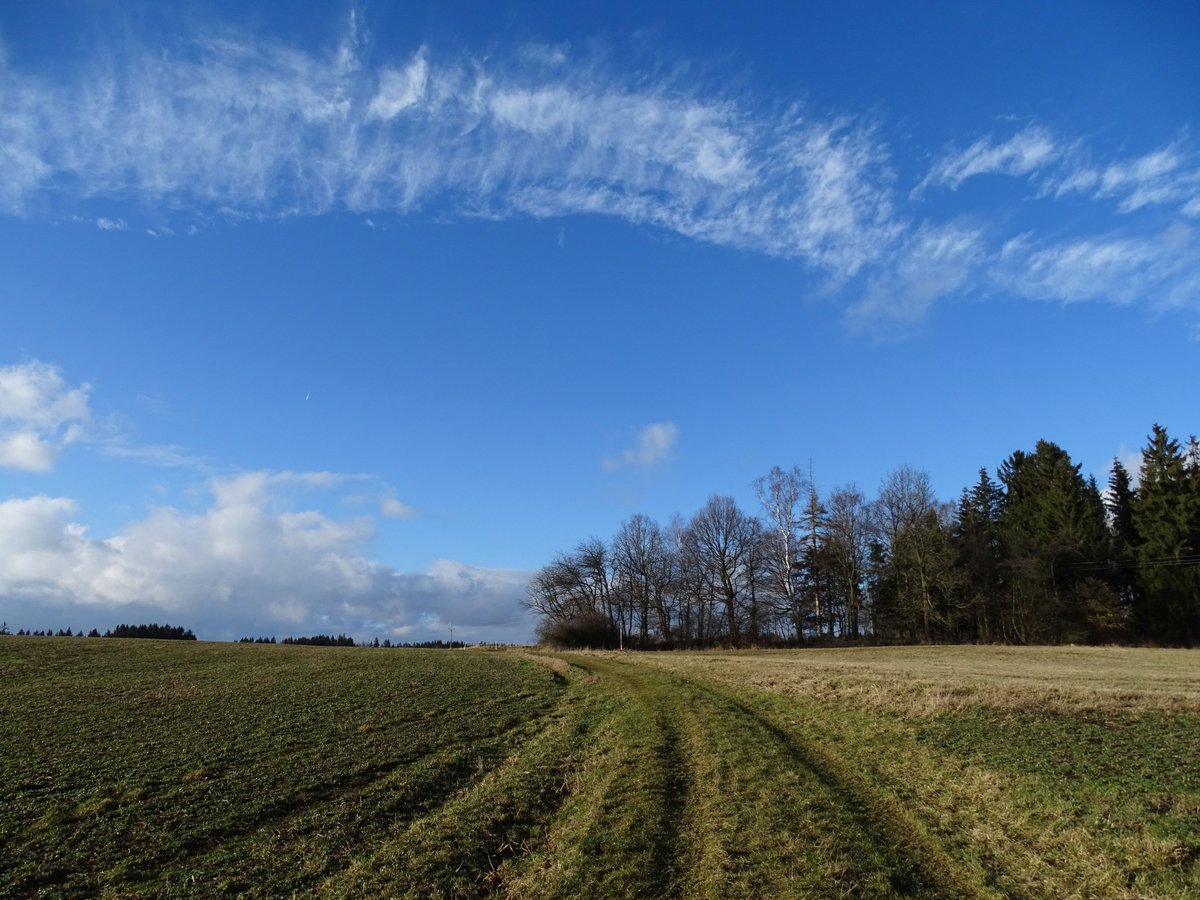 Libor Marek (@marek_libor) | Twitter