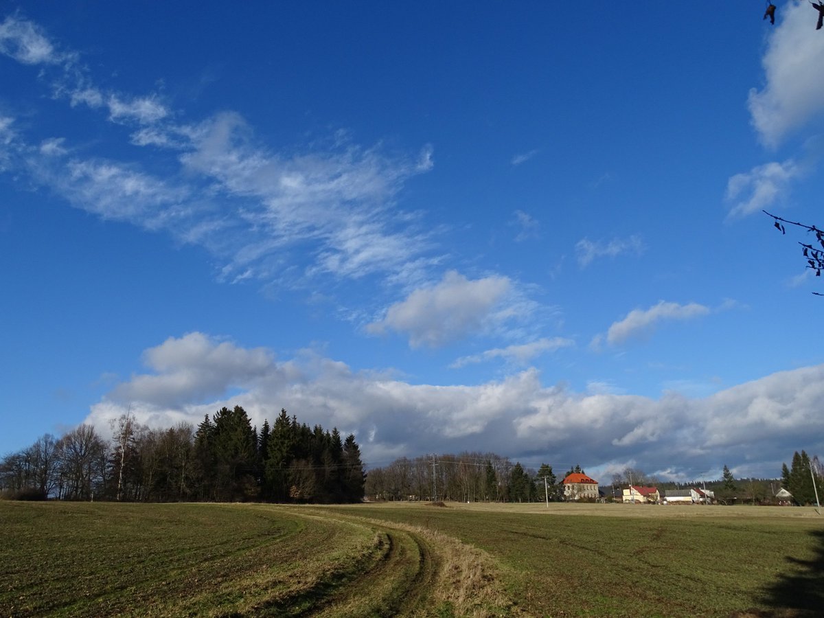 Libor Marek (@marek_libor) | Twitter