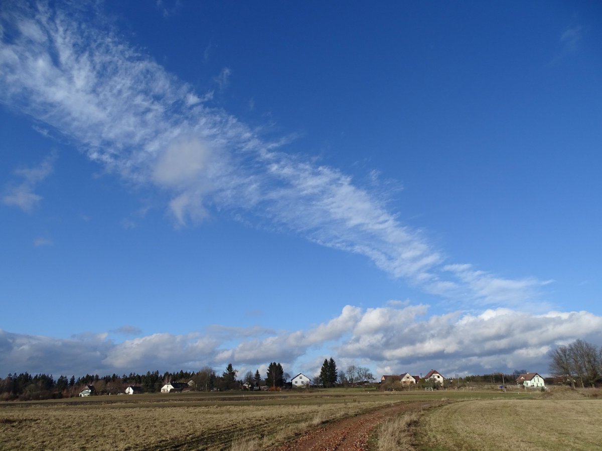 Libor Marek (@marek_libor) | Twitter