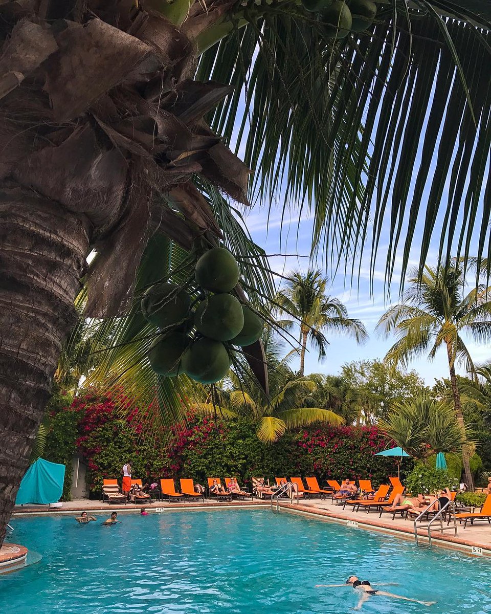 Hotels & Resorts in Miami Beach | The Palms Hotel & Spa