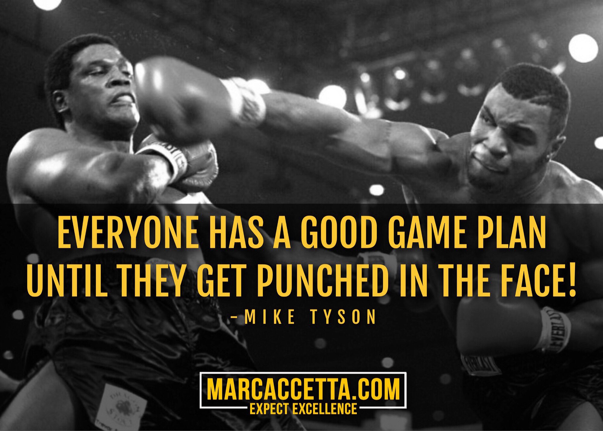 Punch In The Face Quotes