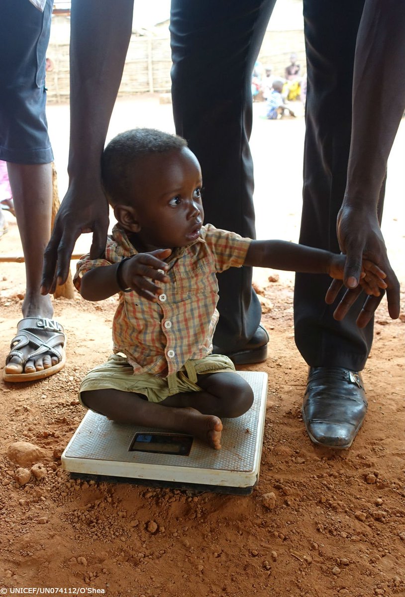 Daniela Antonelli Lacerda Bufacchi (@LacerdaBufacchi) | Twitter