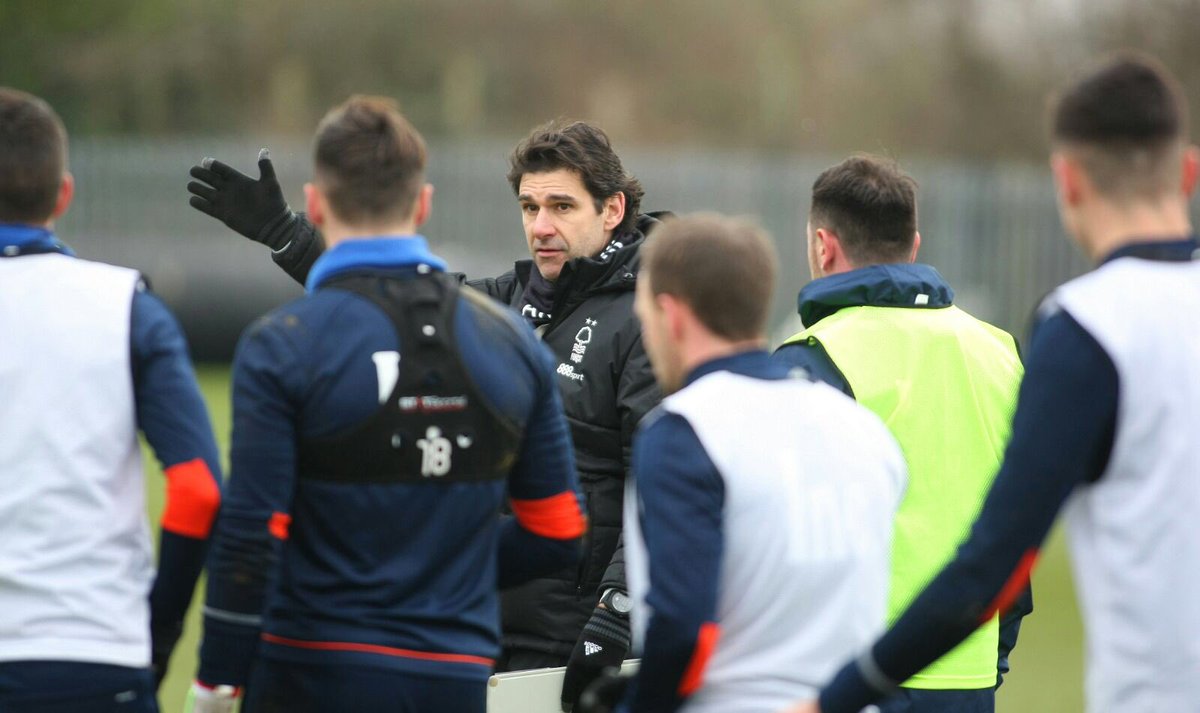 1818 best Nffc images on Pholder | NFFC, Nffc and Adlene GUEDIOURA