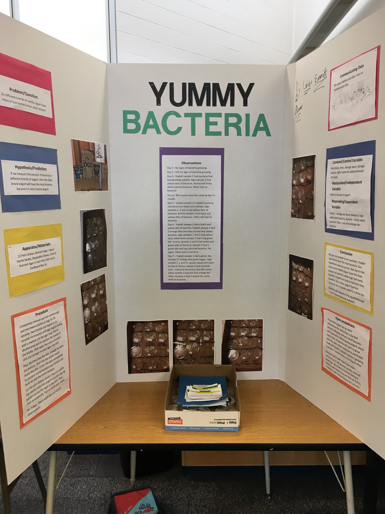 Bad Science Fair Projects