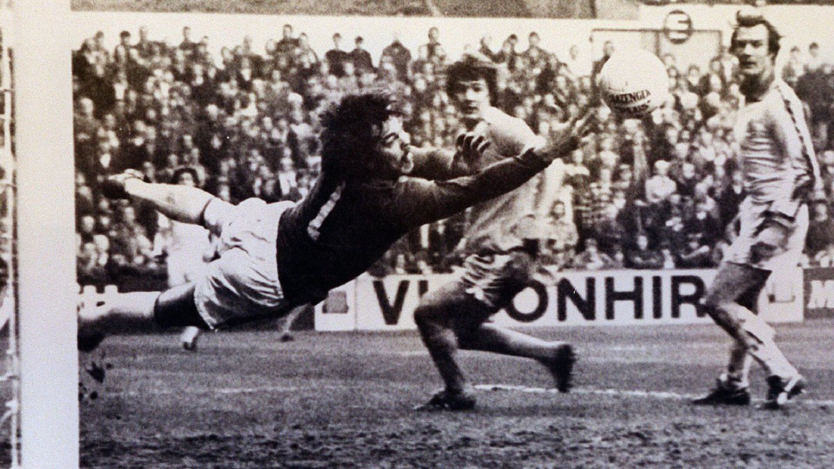 Happy 70th Birthday to former LUFC goalkeeper David Harvey, who made ...