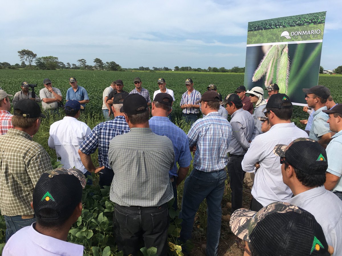 Ignacio Risso (@I_Risso) | Twitter