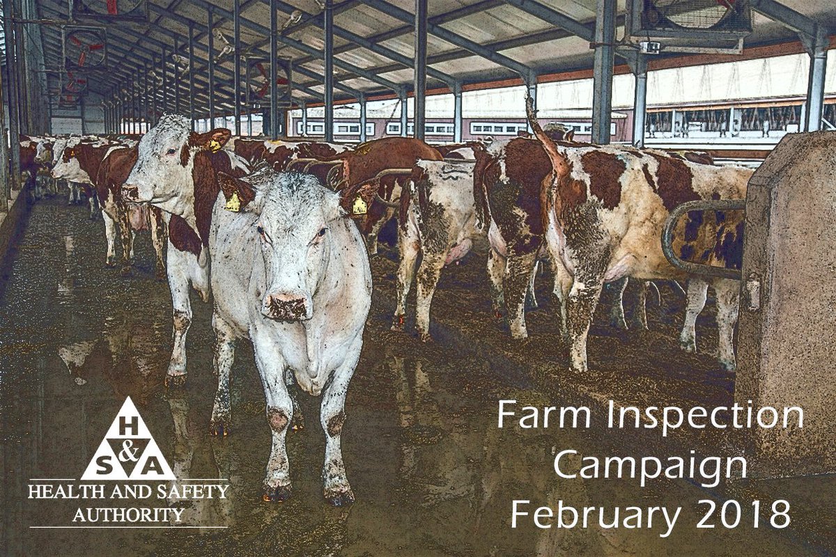 Major two-week farm inspection campaign to be launched by HSA Ireland ...