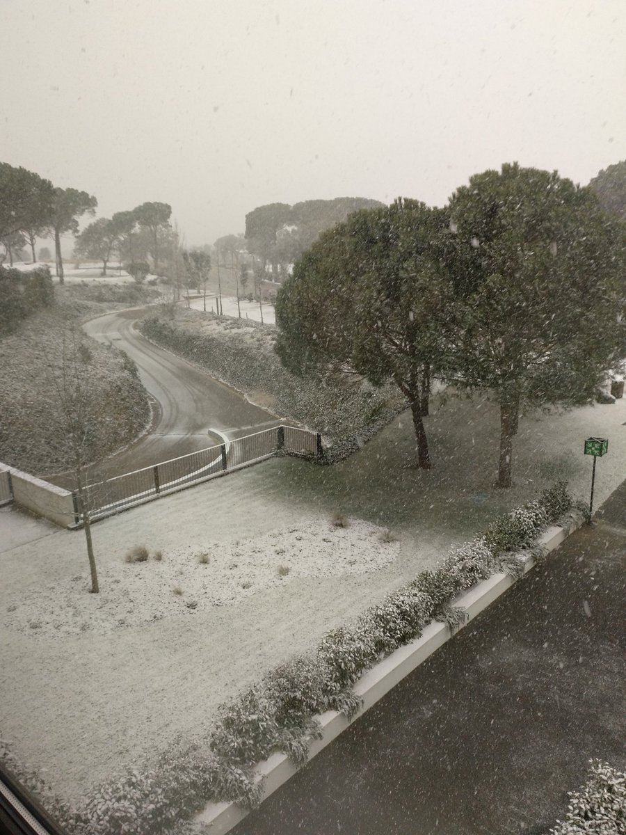 Sofia Farina (@sofiafarina) | Twitter