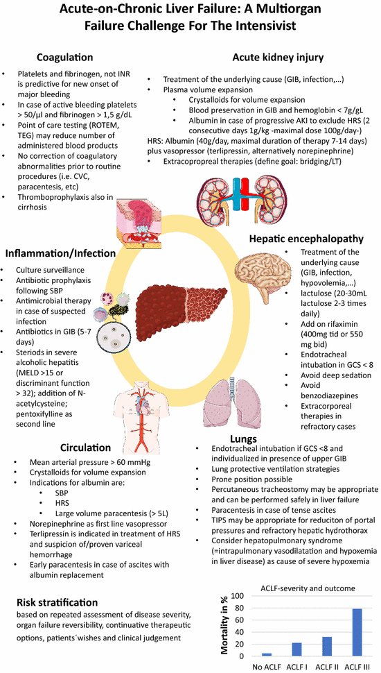 Albumen Causes Symptoms Treatment Albumen