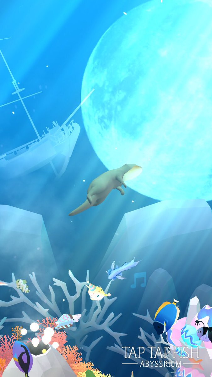 コダマ (@Codama_S) | Twitter