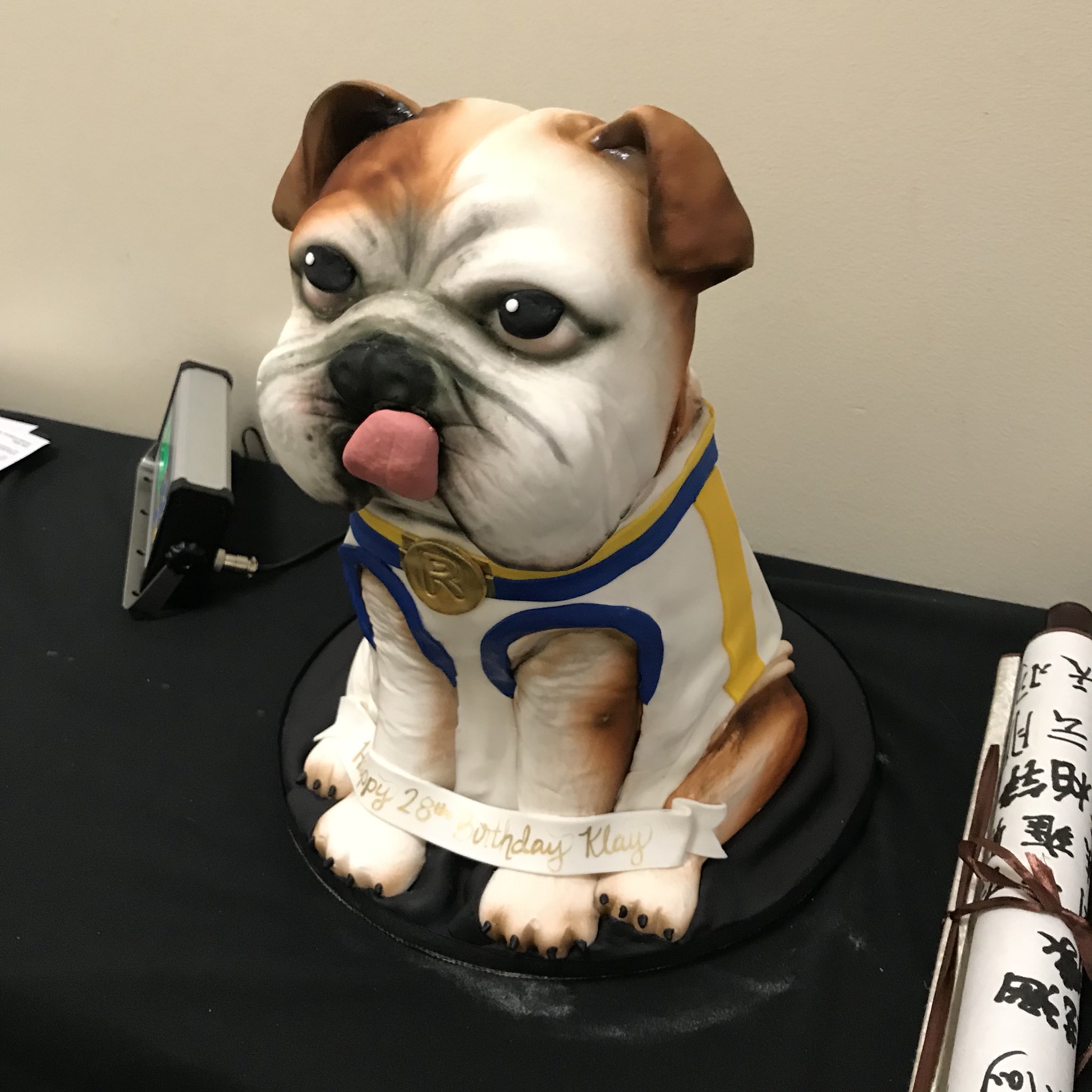 Rocco Klay Klay Thompson's Best Buddy
