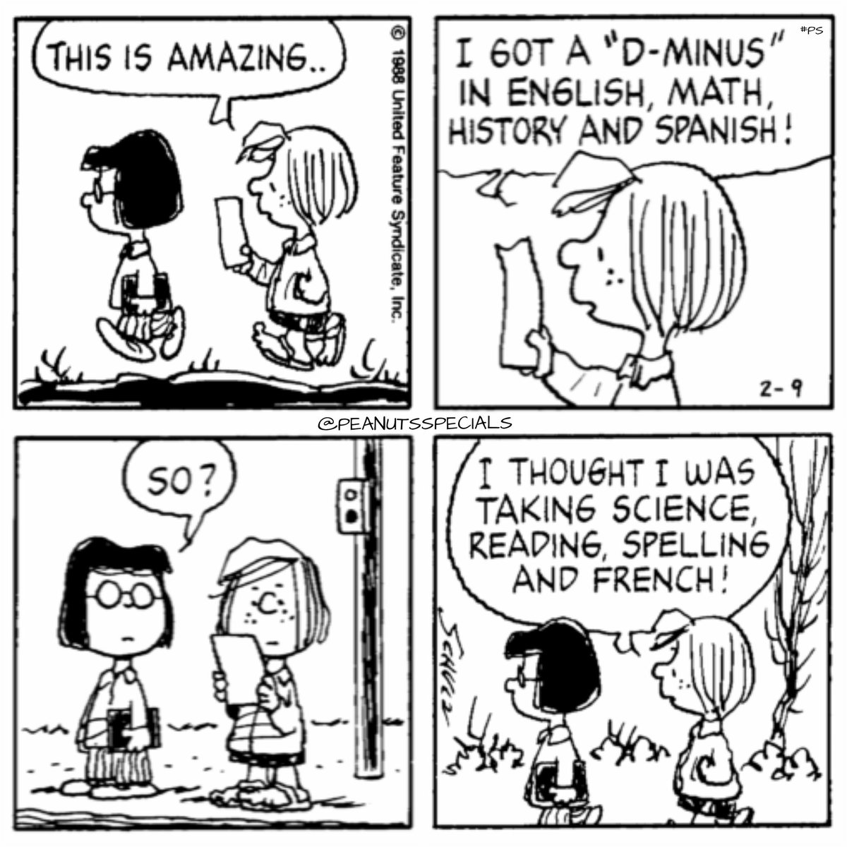 Peanuts Math Comics