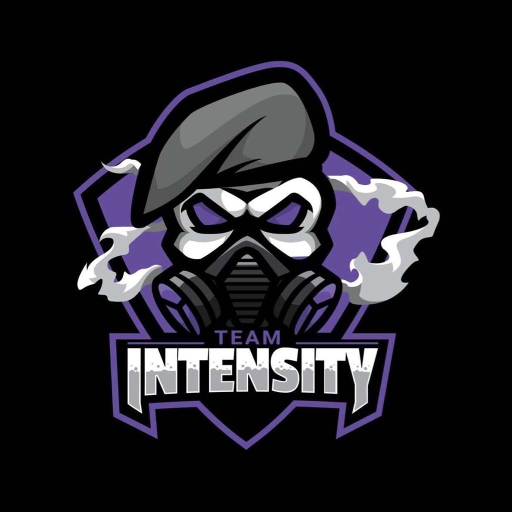 Intensity Logo