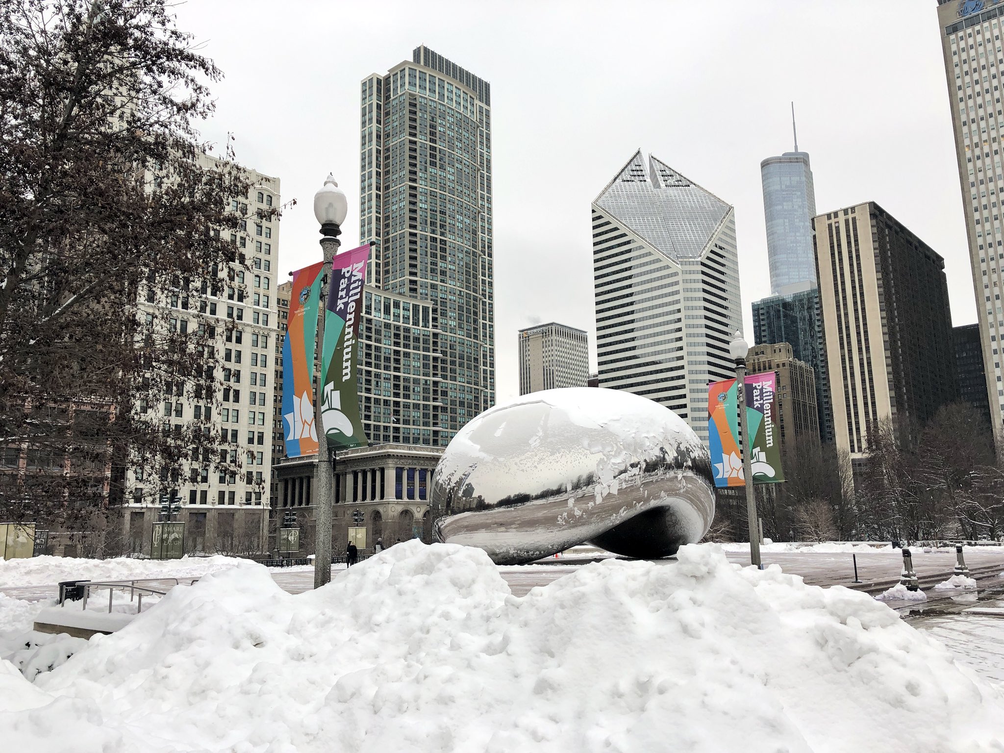 Chicago Millenium Park Winter