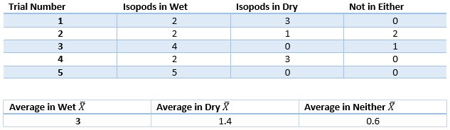 Isopod Lab – Simone McEwan