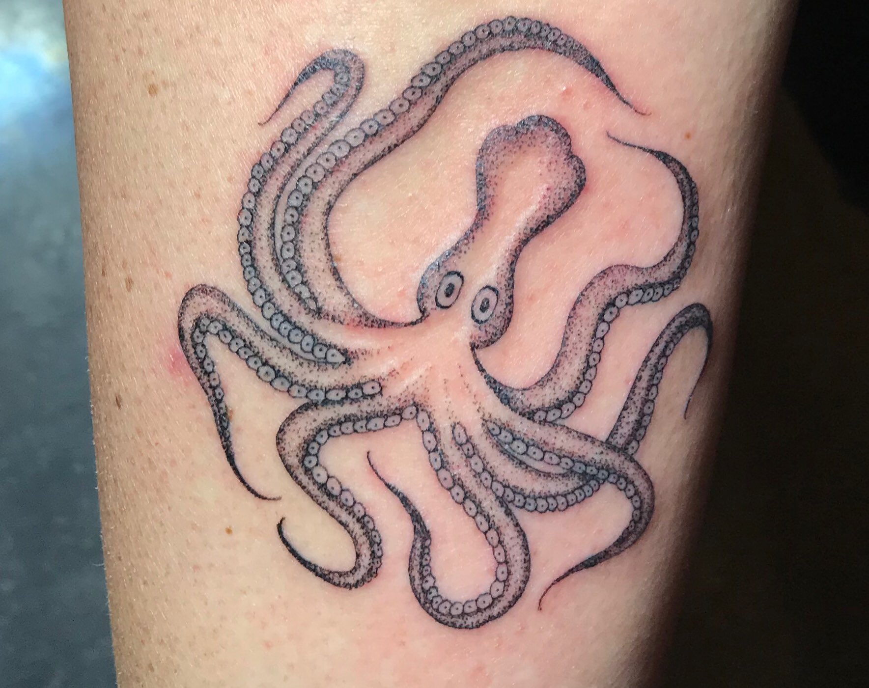 Andy Milonakis Tattoos