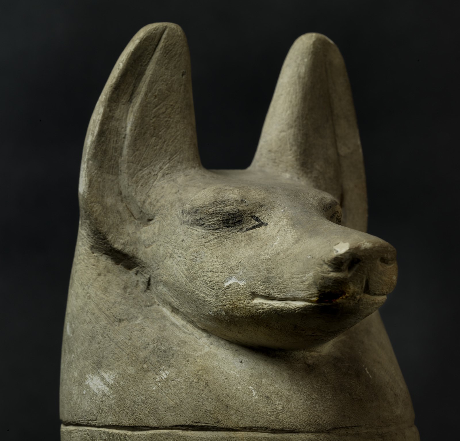 Canopic Jars Jackal