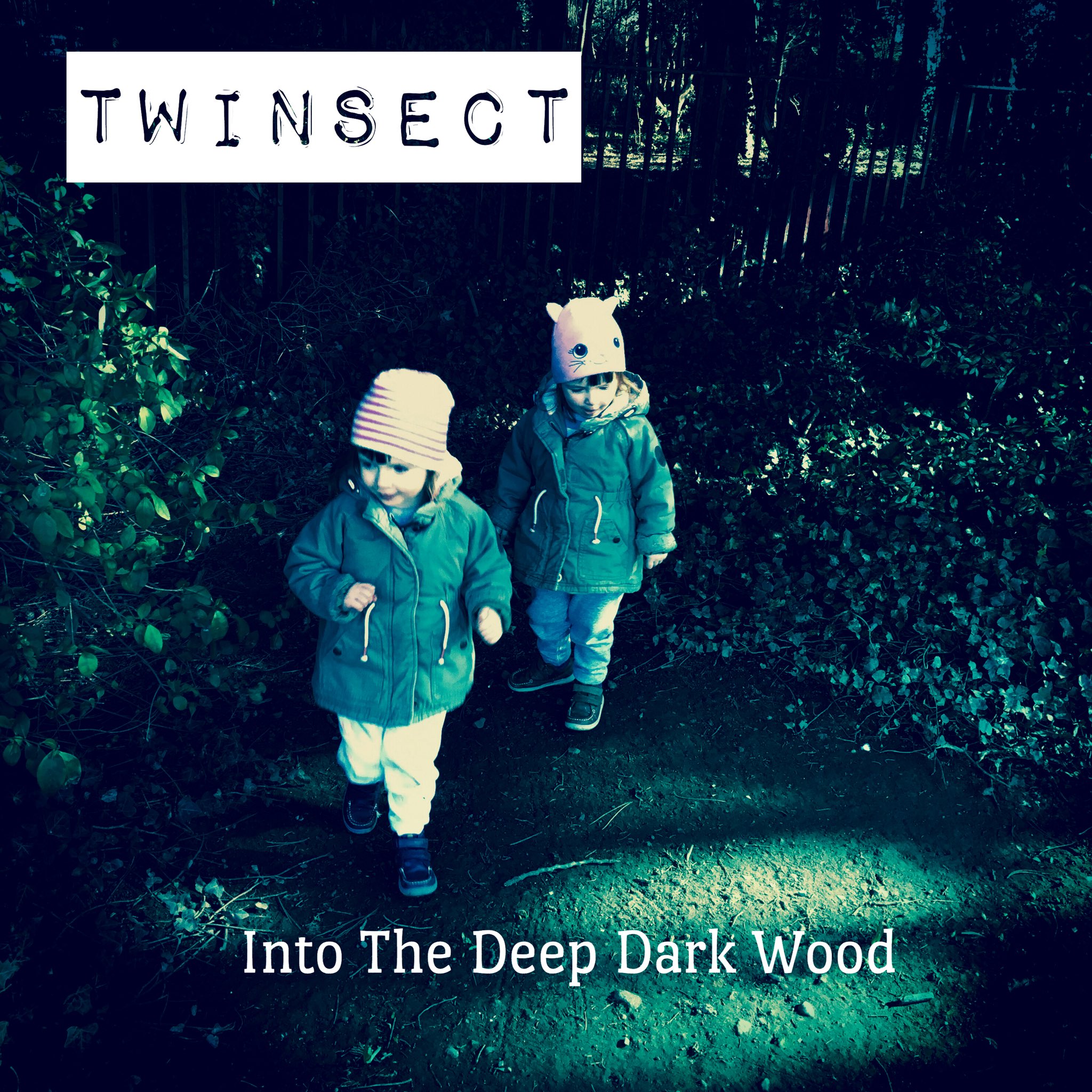 Indie Bands Album Covers