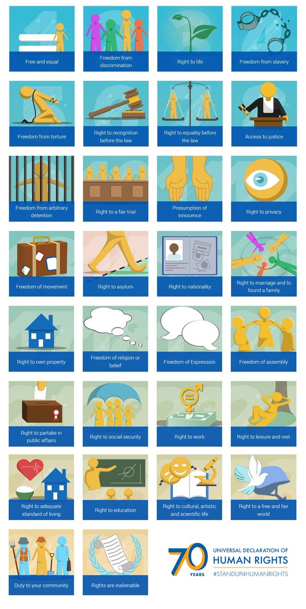 Universal Declaration Of Human Rights Poster