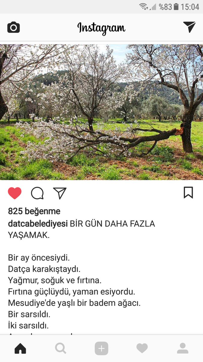 doğan uraz (@ddoddo) | Twitter