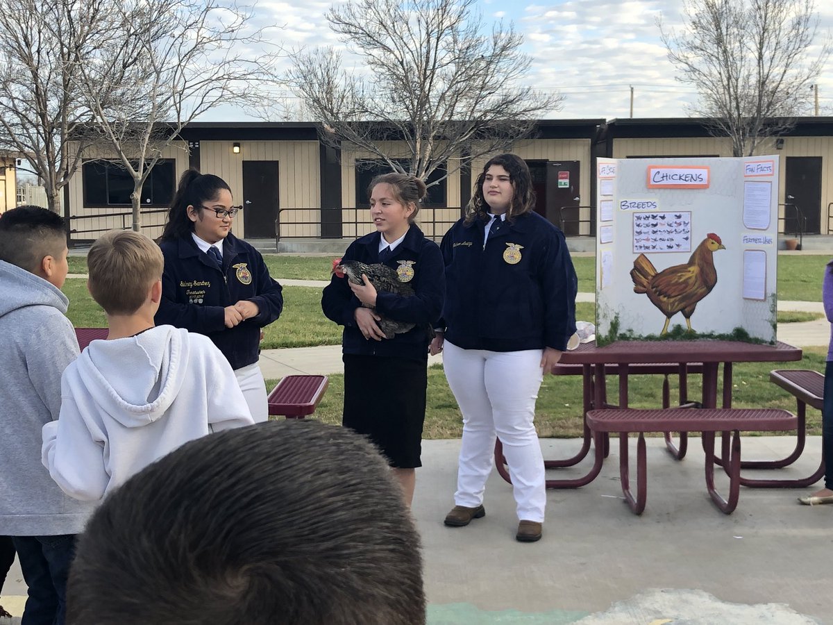 Volta Elementary (@VoltaLBUSD) | Twitter