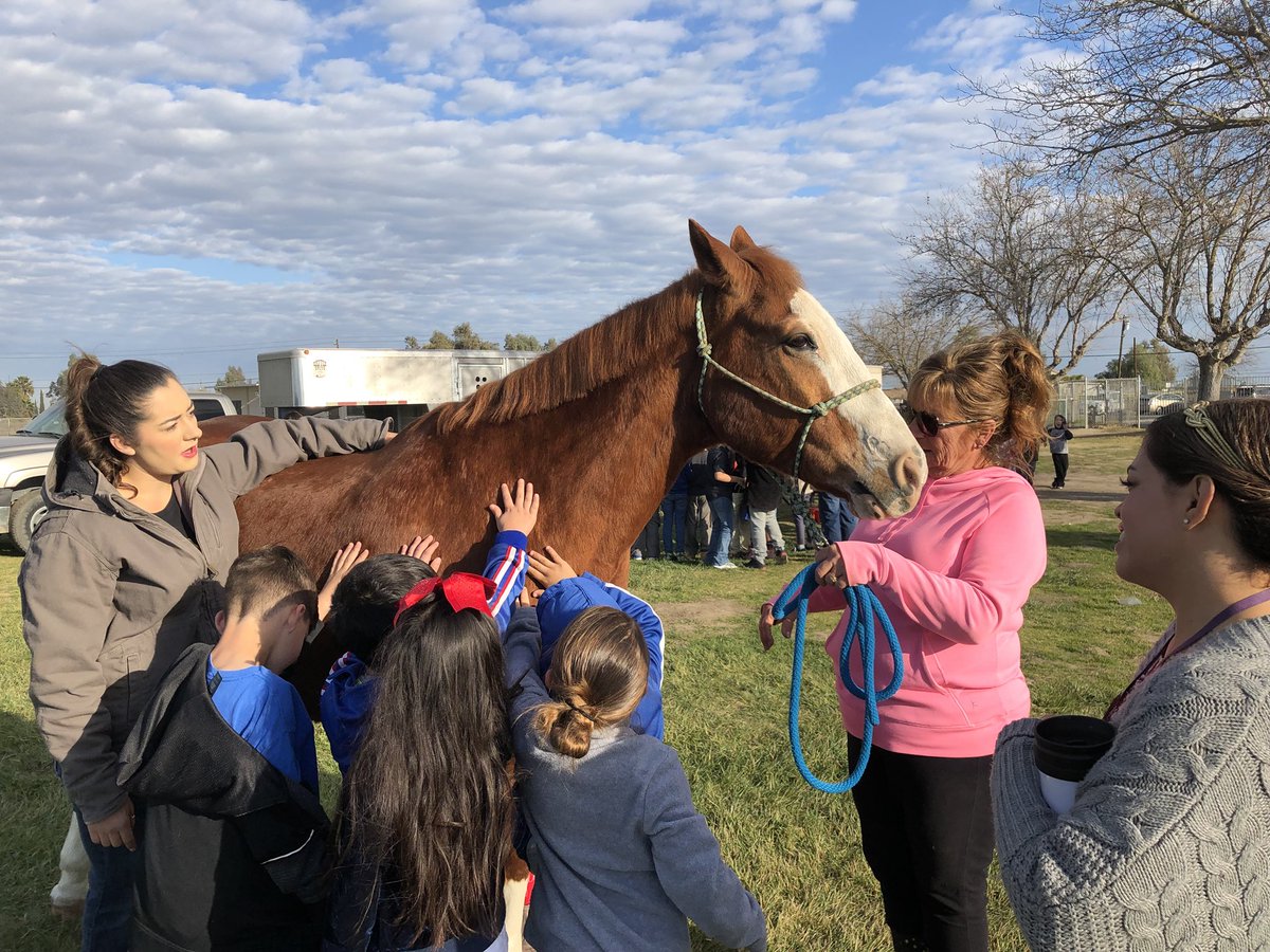 Volta Elementary (@VoltaLBUSD) | Twitter