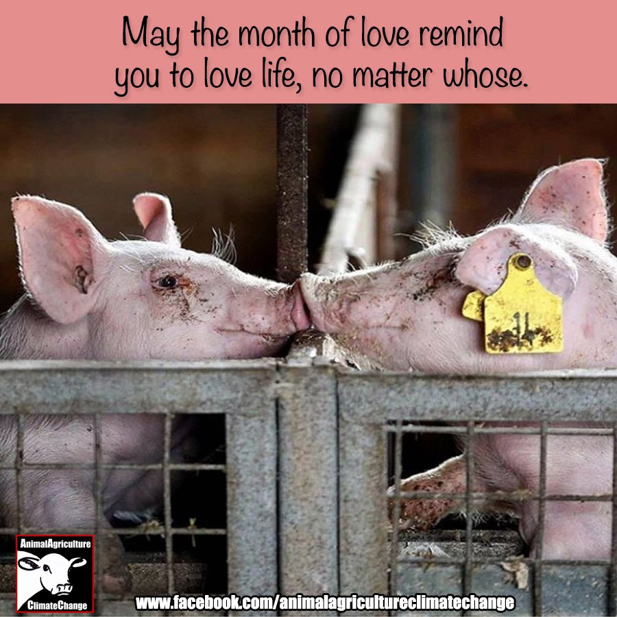 Ali Dibble (@AliDibble) | Twitter