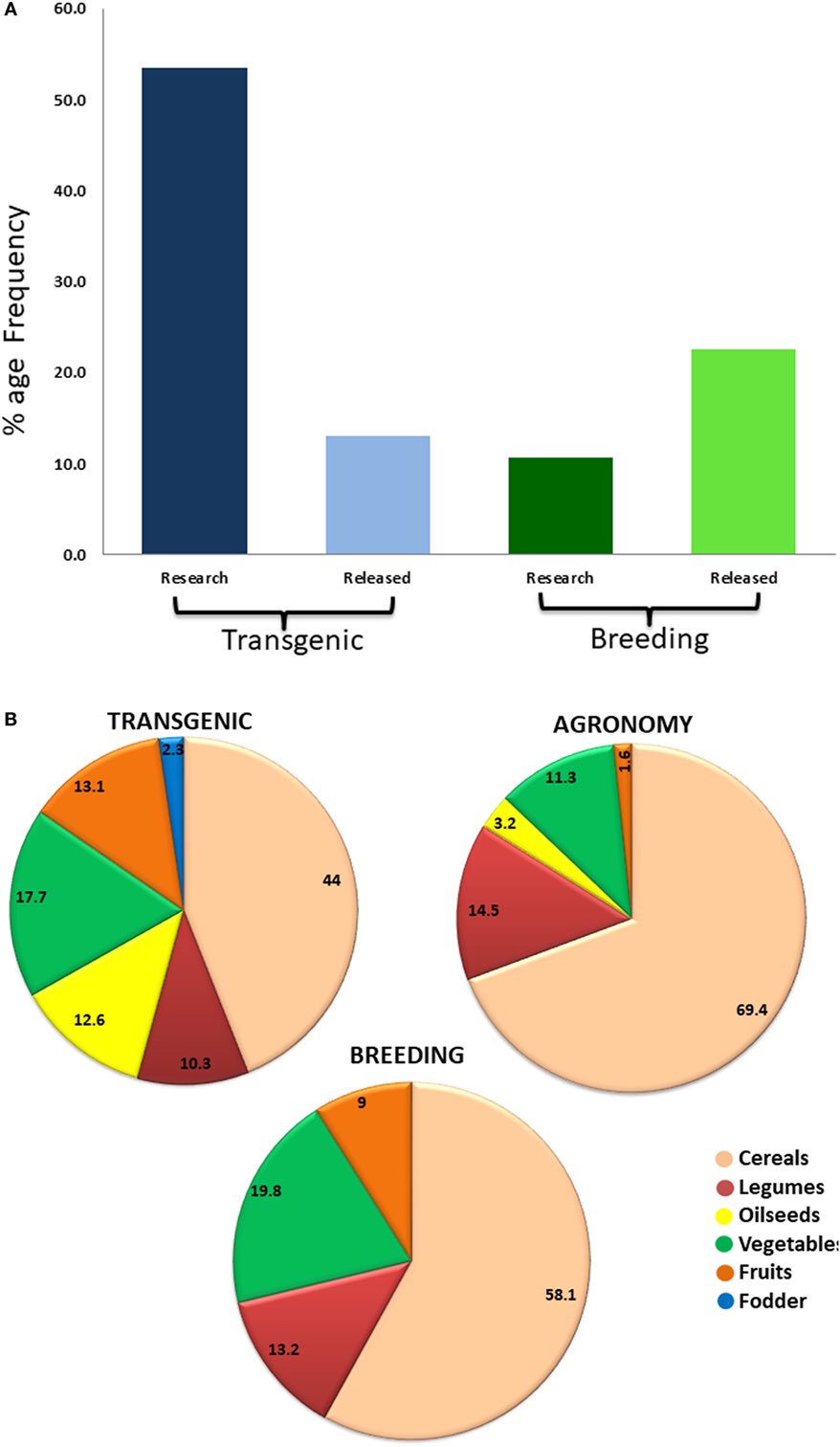 Golden Rice Graphs