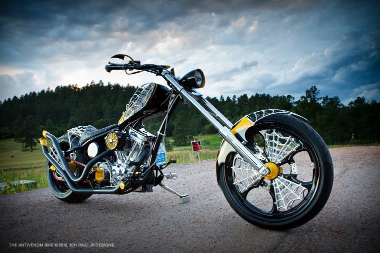 Paul Anti Venom Bike 20 Dynacraft Boy's (Dynacraft Paul Jr Signature