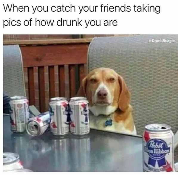 Funny Drunk Friend Pictures