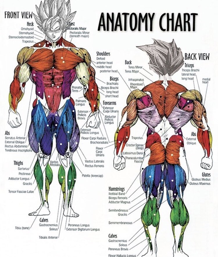 Goku Leg Day Dont Skip Legdays Like @Yasti 😁#fypシ #CapCut