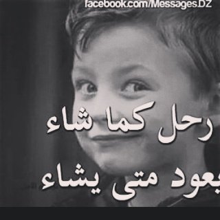 Aliaa Salah (@AliaaSa53361203) | Twitter