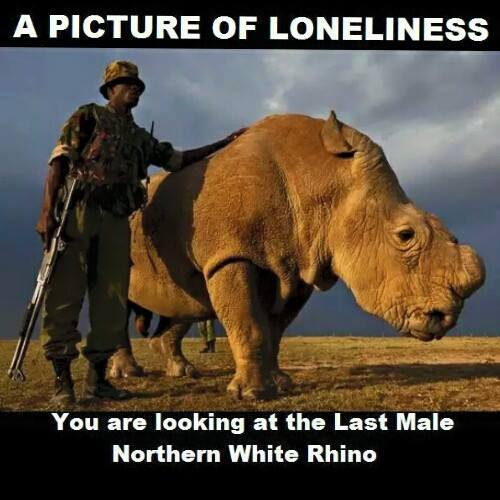 Nuwan Chamikara (@GMNChamikara) | Twitter