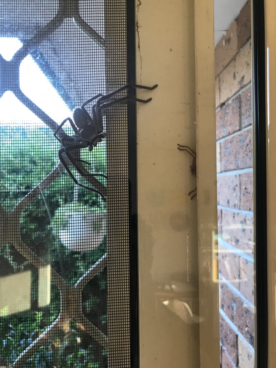 Liam (@liampearson) | Twitter