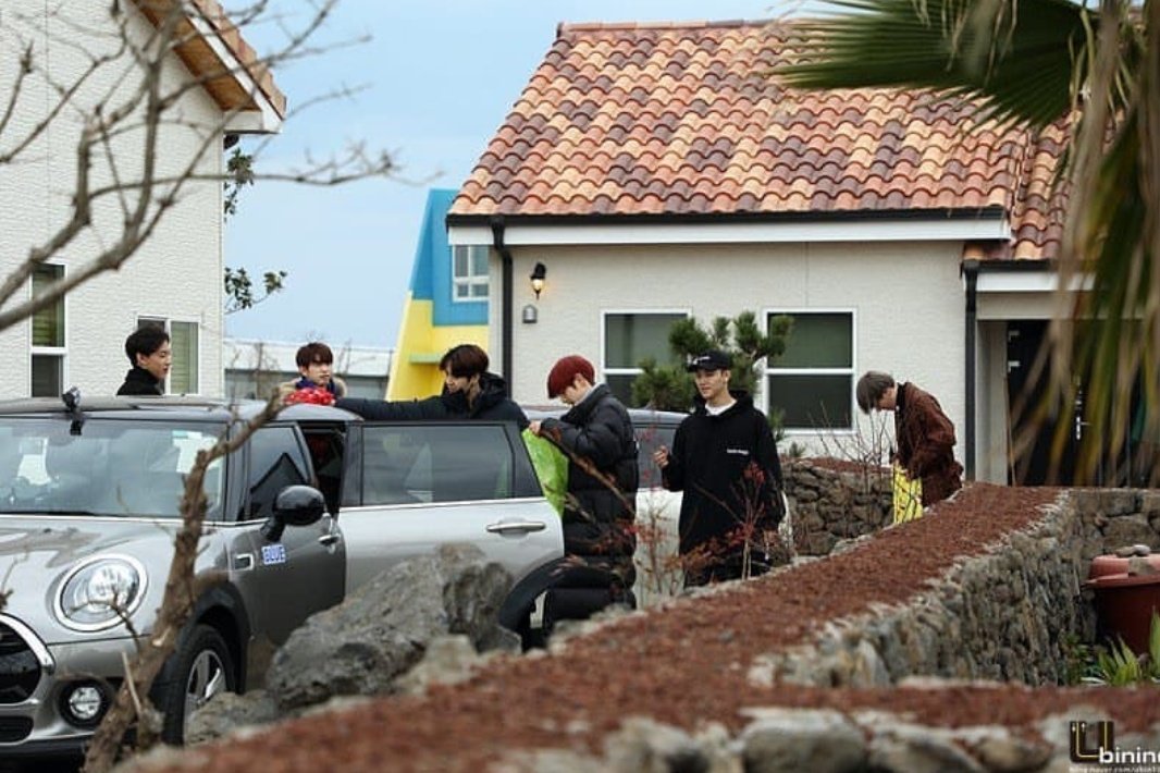 🐊🐍💞💞 (@MTBB_jib) | Twitter