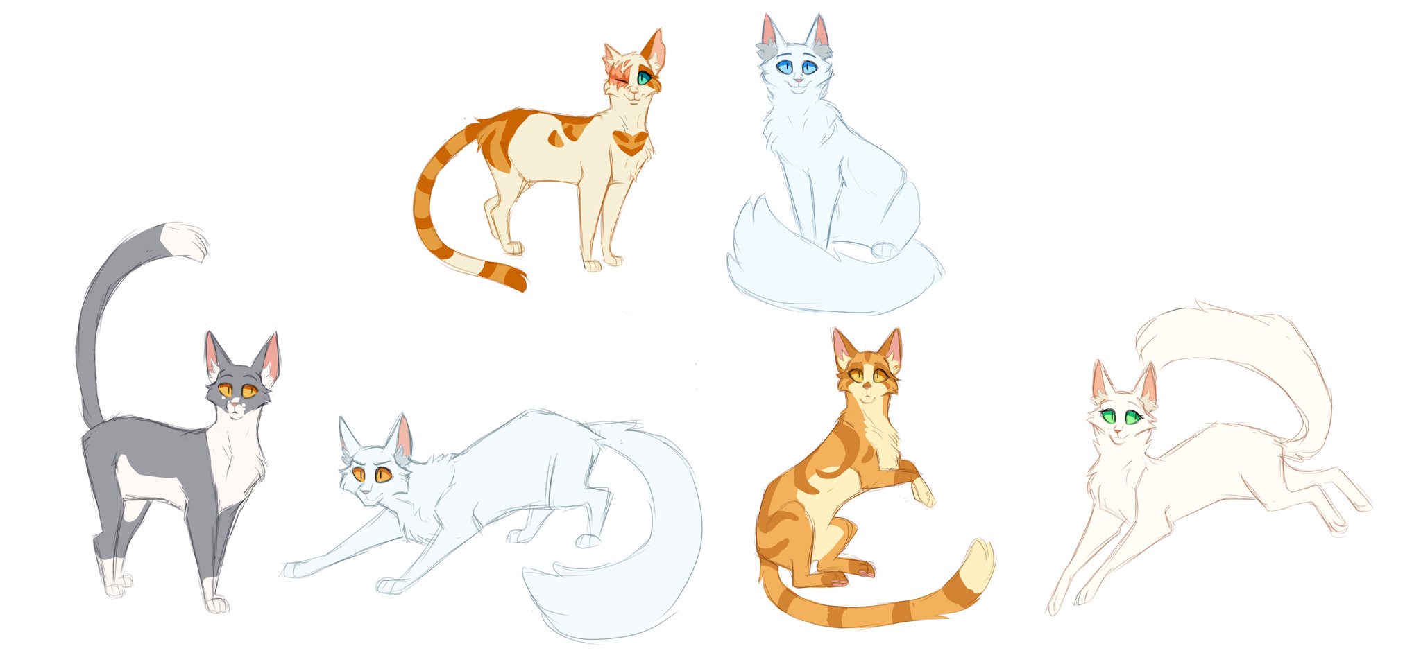 Warrior Cats Whitewing