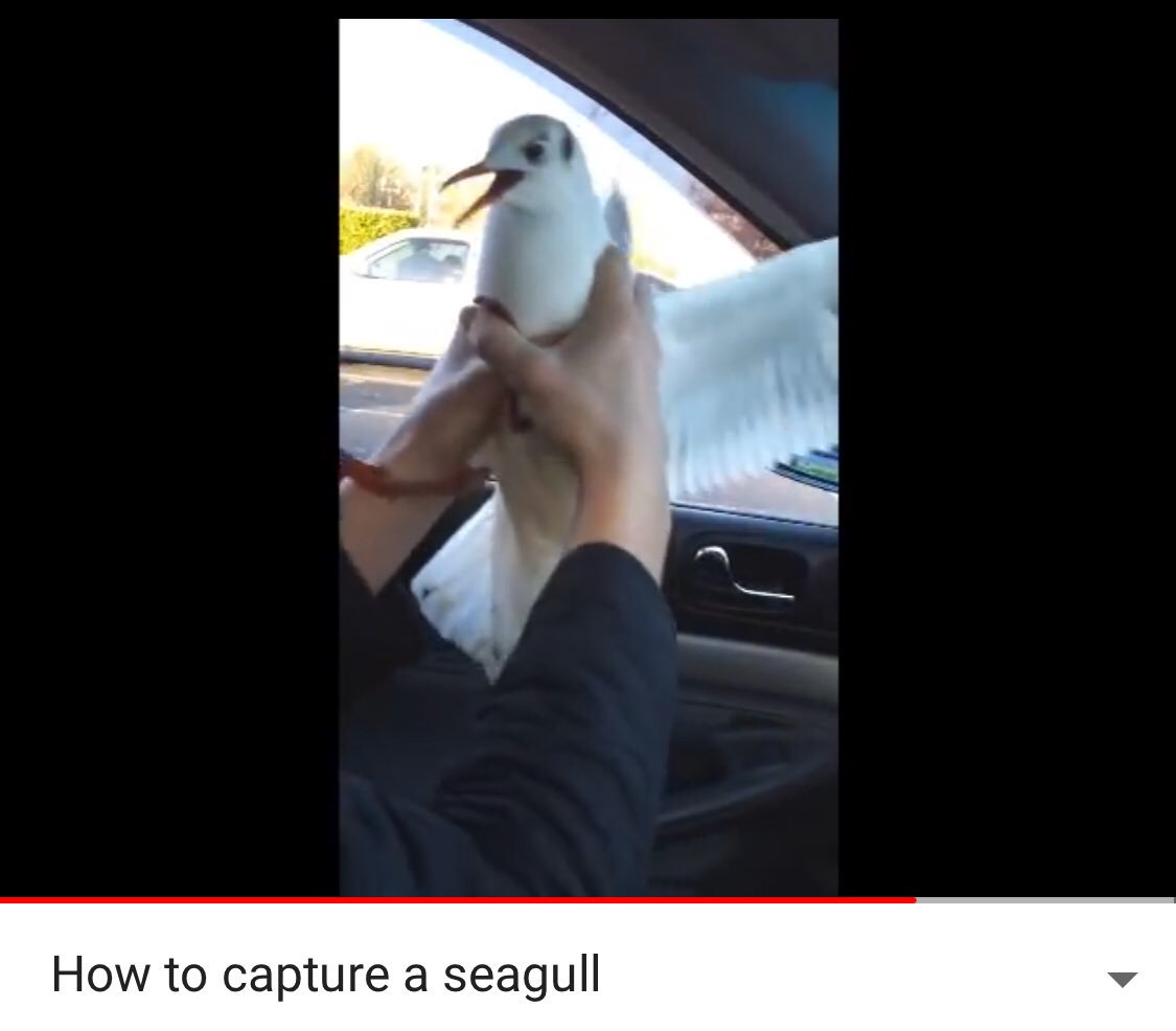 Brian Warsing (@dayglojesus) | Twitter