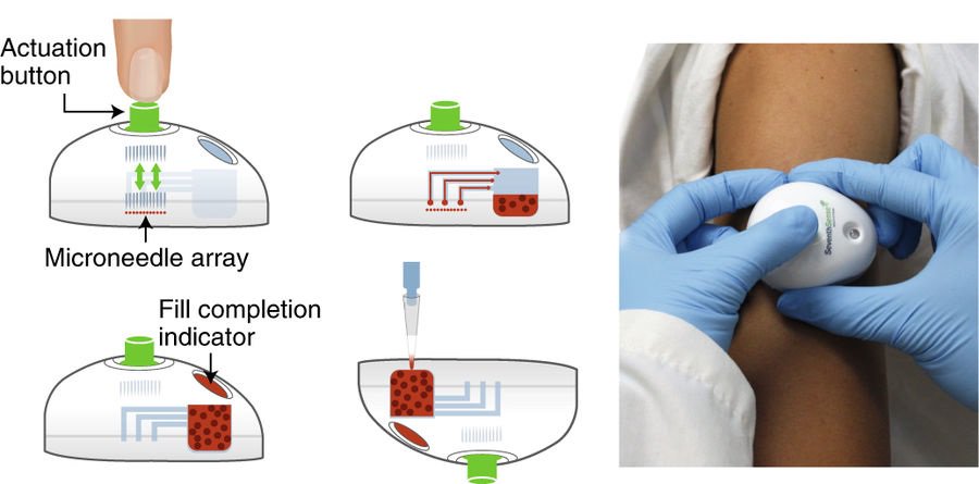 Capillary Collection Procedure