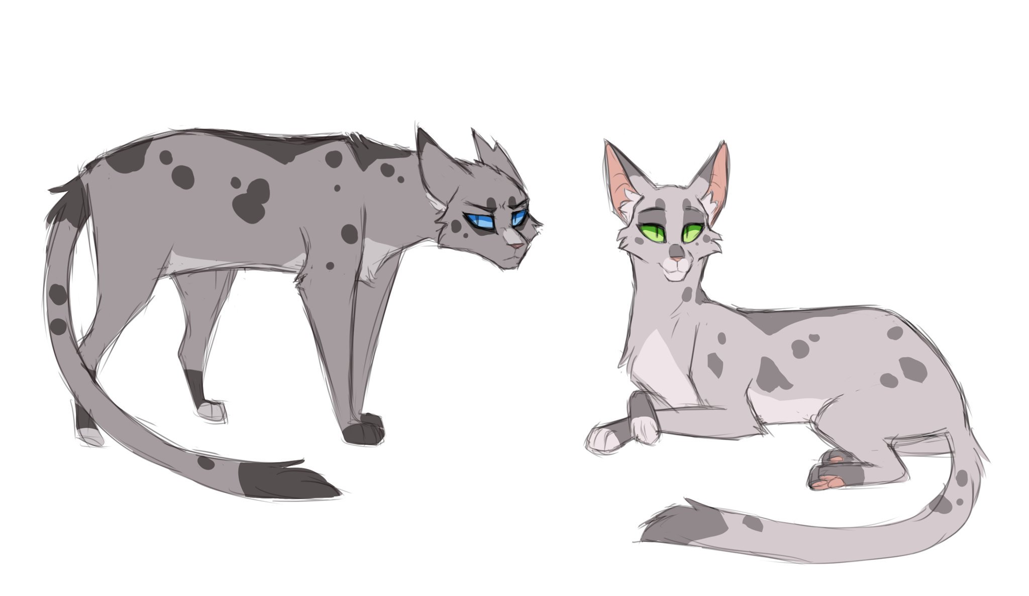 Warrior Cats Brindleface