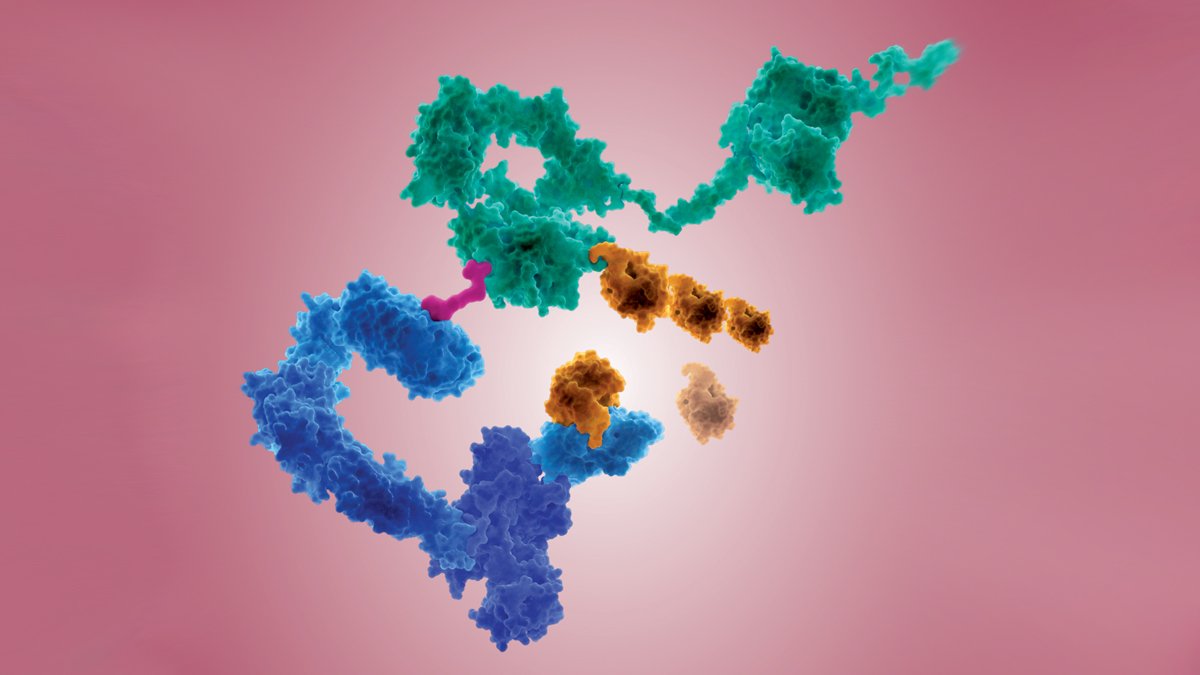 Targeted protein degraders promise to open up a whole new range of drug ...